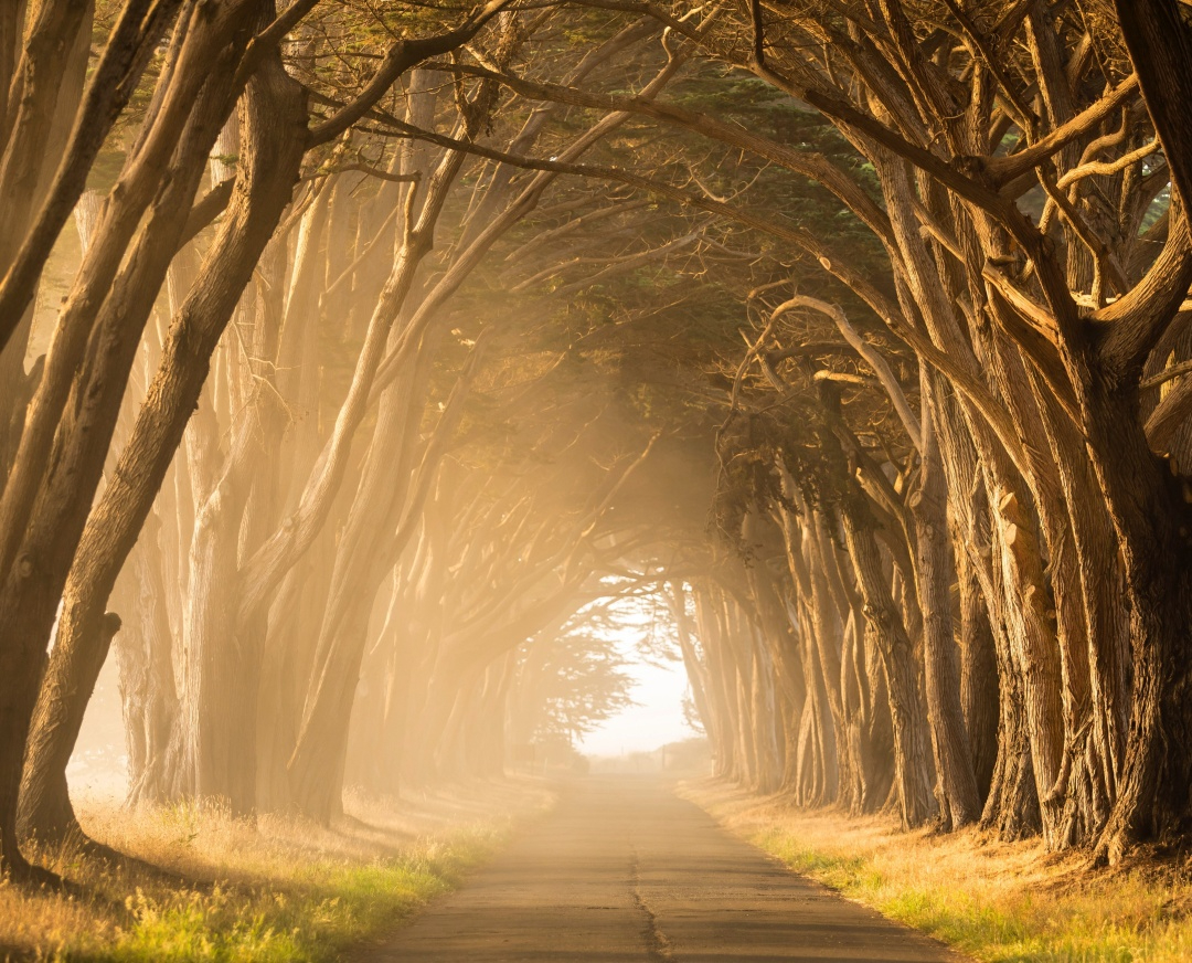 Masking out the Light: How to Remove Light Glare from Photos - TruHu Blog