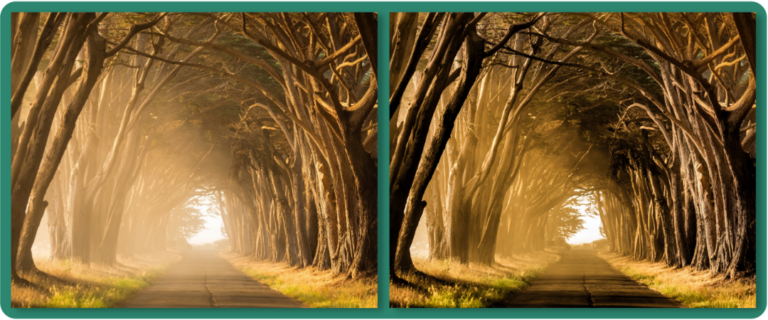 Masking out the Light: How to Remove Light Glare from Photos - TruHu Blog