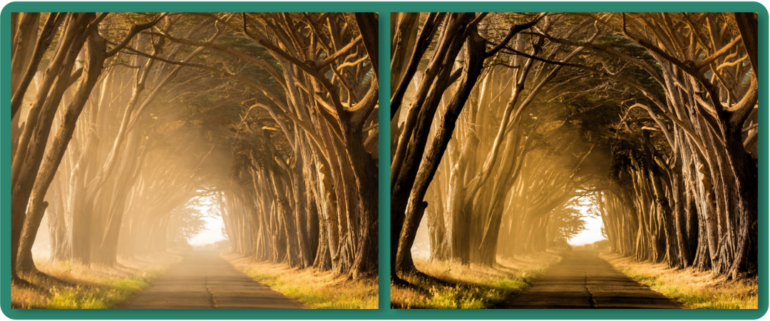 Masking out the Light: How to Remove Light Glare from Photos - TruHu Blog