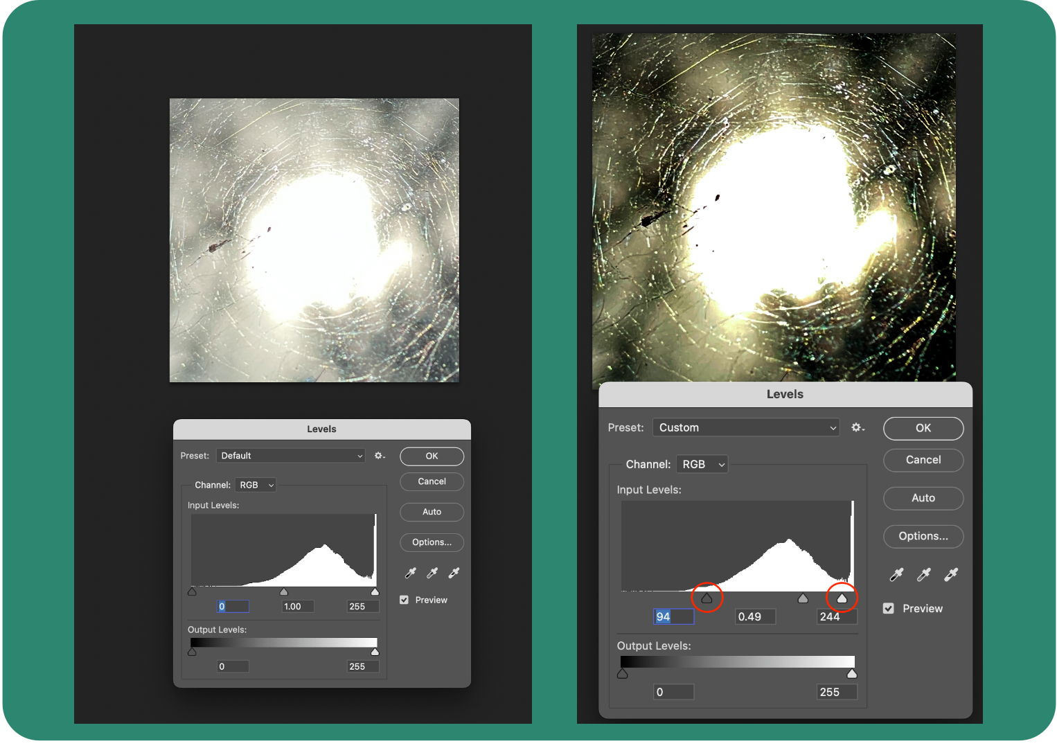 How to Read a Histogram in Photography - TruHu Blog