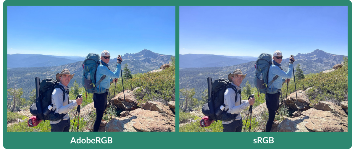 What Makes a Monitor Wide Gamut? - TruHu Blog
